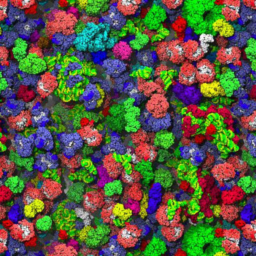 CIL:28234, Escherichia coli. CIL. Dataset